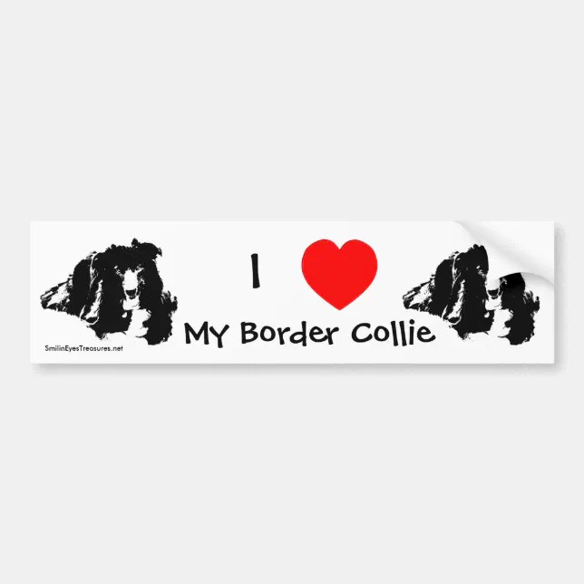 I Love My Border Collie Bumper Sticker | Zazzle
