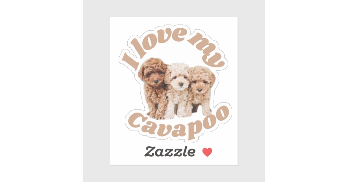 I Love My Cavapoo Dog Lover Cavoodle Owner | Zazzle
