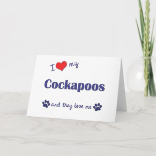Cockapoo Cards | Zazzle UK