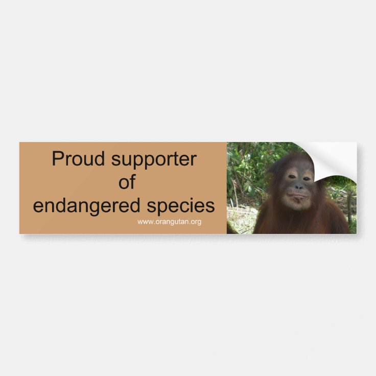 I Vote for Wildlife Conservation Bumper Sticker | Zazzle