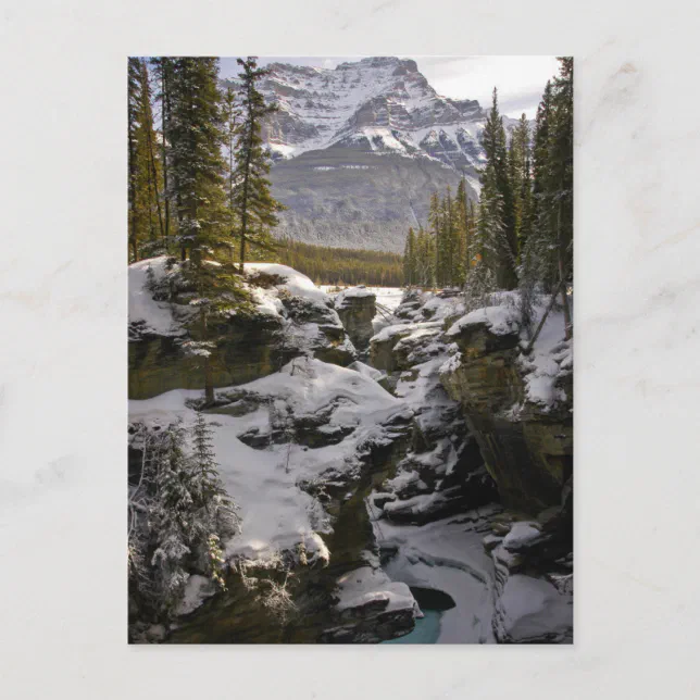 Ice & Snow | Jasper National Park Alberta, Canada Postcard | Zazzle