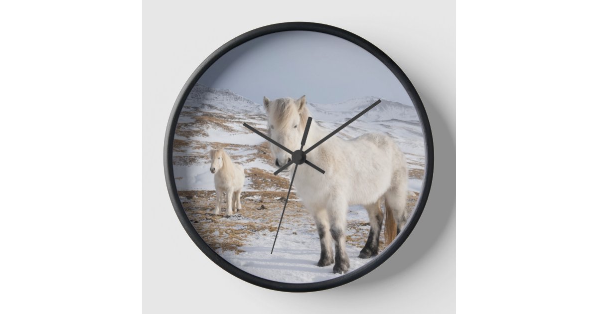 Icelandic Horse | Blonduos, Iceland Clock | Zazzle