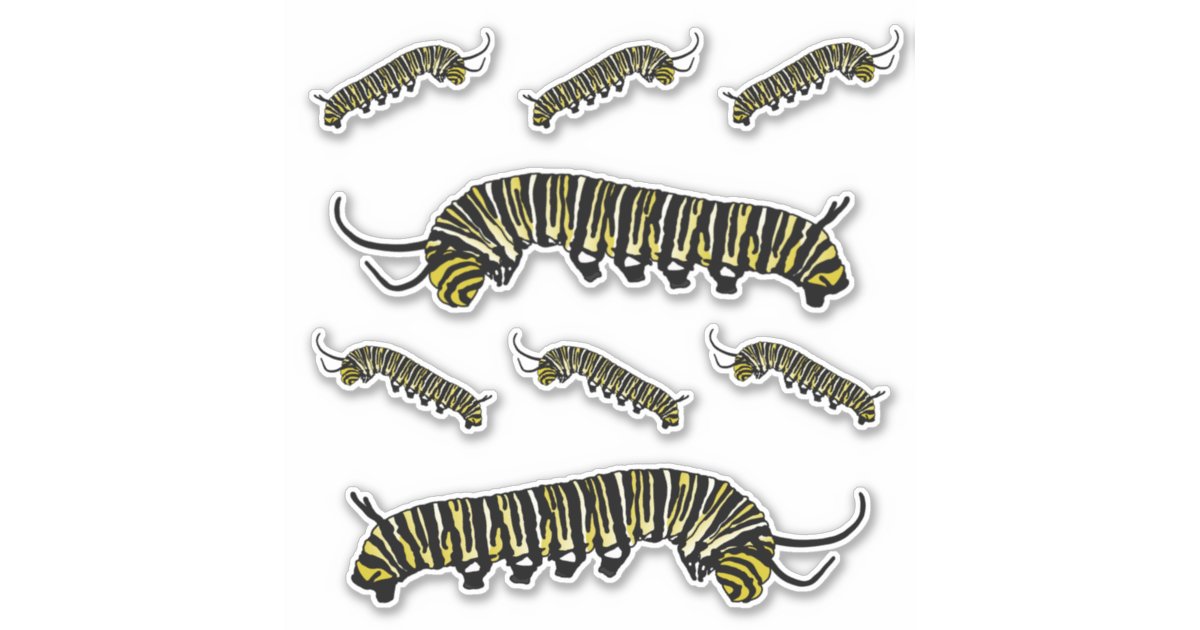 Illustrated Monarch Butterfly Caterpillar Stickers | Zazzle