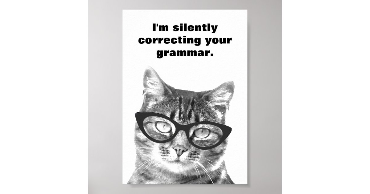 I'm silently correcting your grammar cat poster | Zazzle