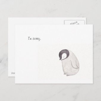 I'm Sorry Cute Penguin Post Card | Zazzle