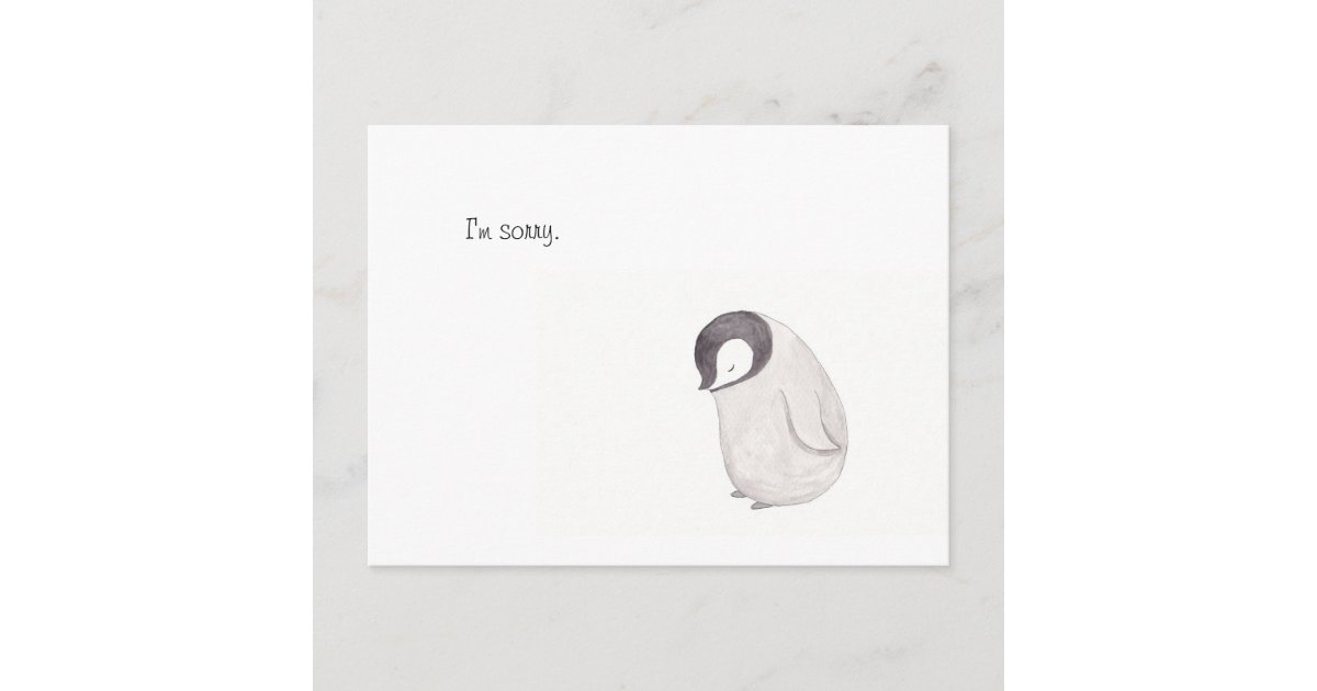I'm Sorry Cute Penguin Post Card | Zazzle