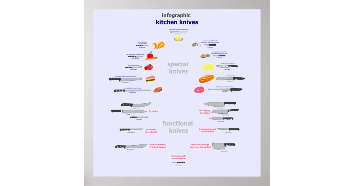infographic kitchen knives poster | Zazzle
