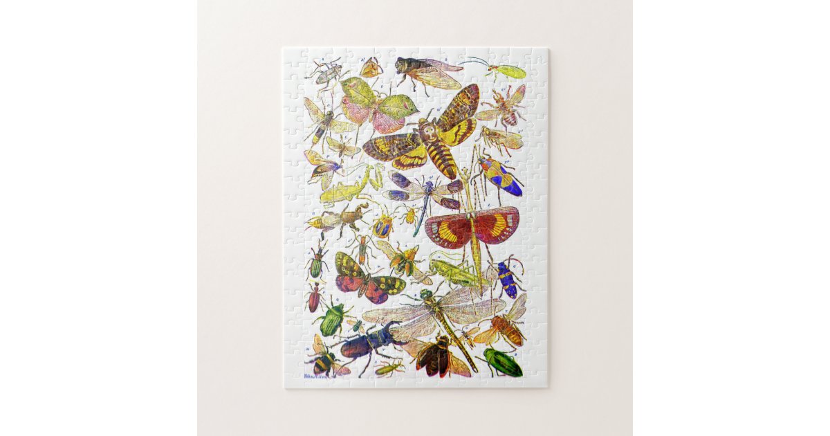 Insects Jigsaw Puzzle | Creepy Crawlies | Zazzle