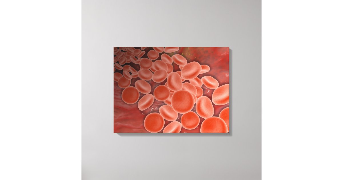 Inside View Of The Artery With Red Blood Cells Canvas Print | Zazzle