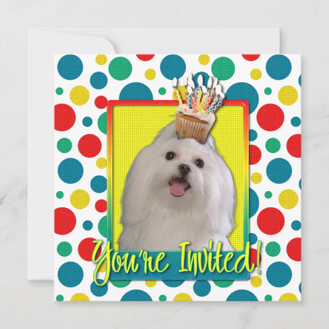 Invitation Cupcake - Maltese | Zazzle