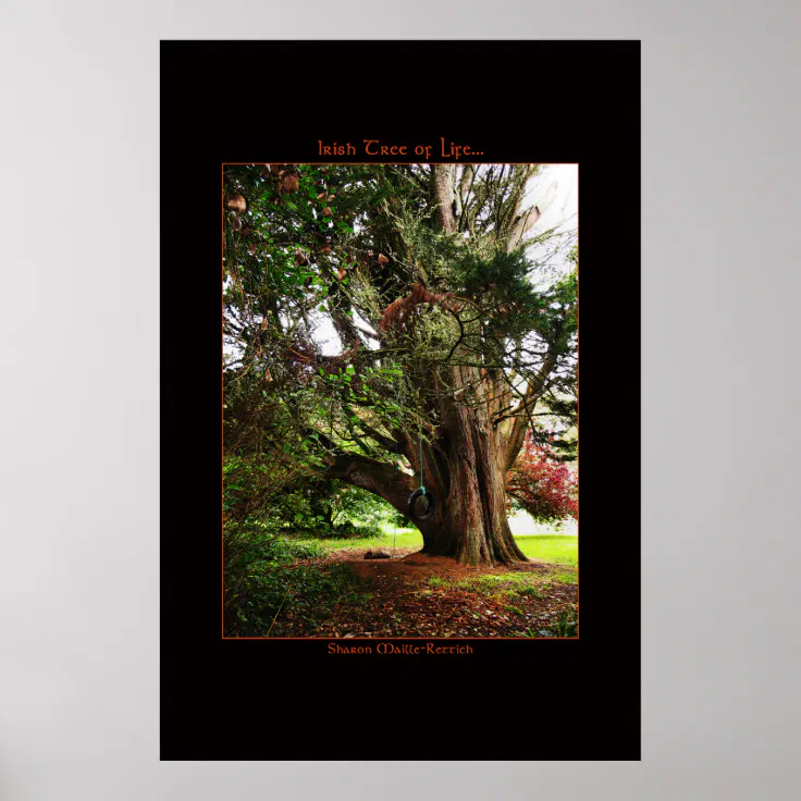 Irish Tree of Life Poster Print | Zazzle