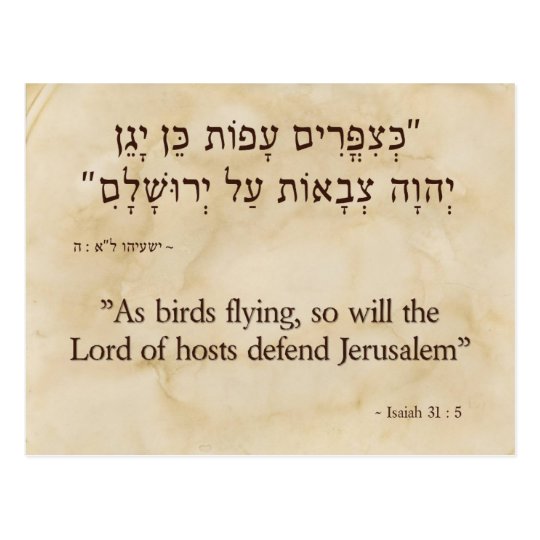 Isaiah 31:5 Hebrew and English Postcard | Zazzle.co.uk