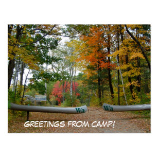 Summer Camp Postcards | Zazzle UK