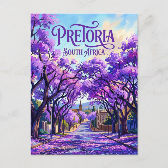 Jacaranda Trees of Pretoria South Africa Postcard | Zazzle
