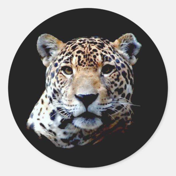 Jaguar Stickers & Labels | Zazzle UK