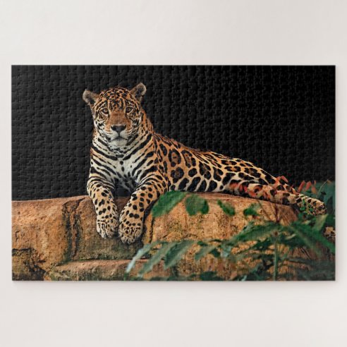 Jaguar Jigsaw Puzzles | Zazzle.co.uk