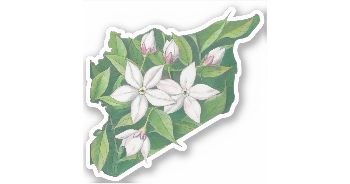 Jasmine Syria Map خريطة سوريا ياسمين | Zazzle