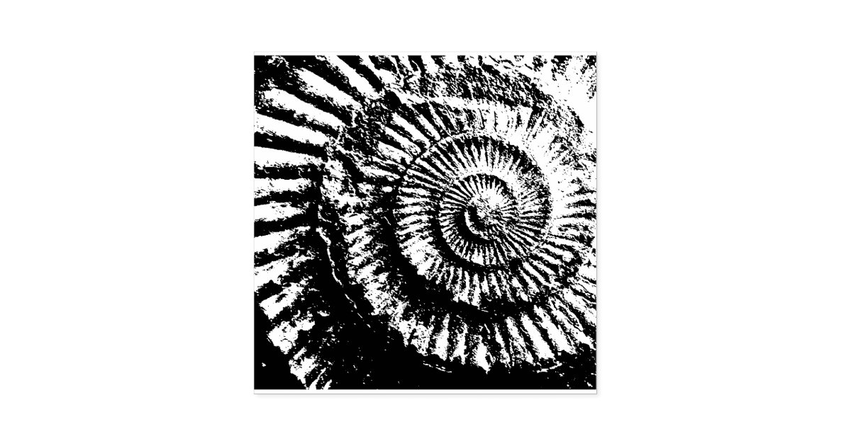 Jurassic ammonite negative imprint rubber stamp | Zazzle