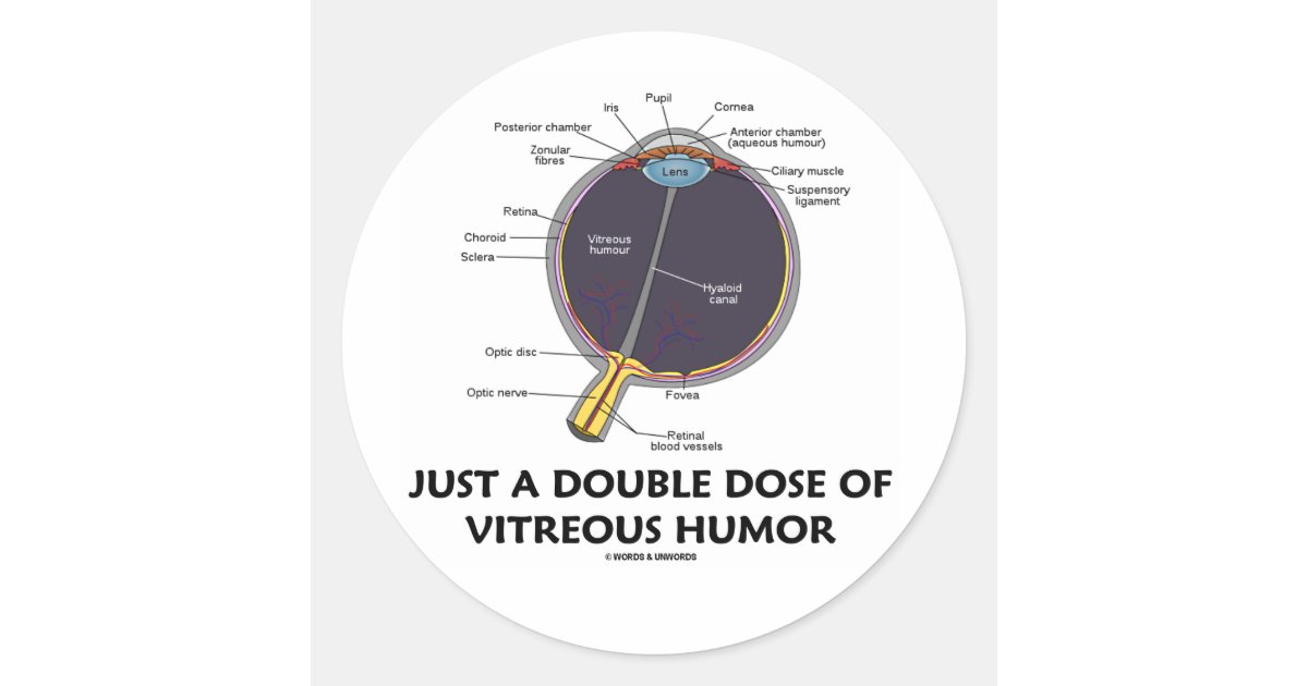Just A Double Dose Of Vitreous Humour (Eye Anatomy Classic Round ...