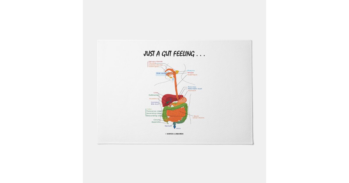 Just A Gut Feeling... Digestive System Humour Doormat | Zazzle