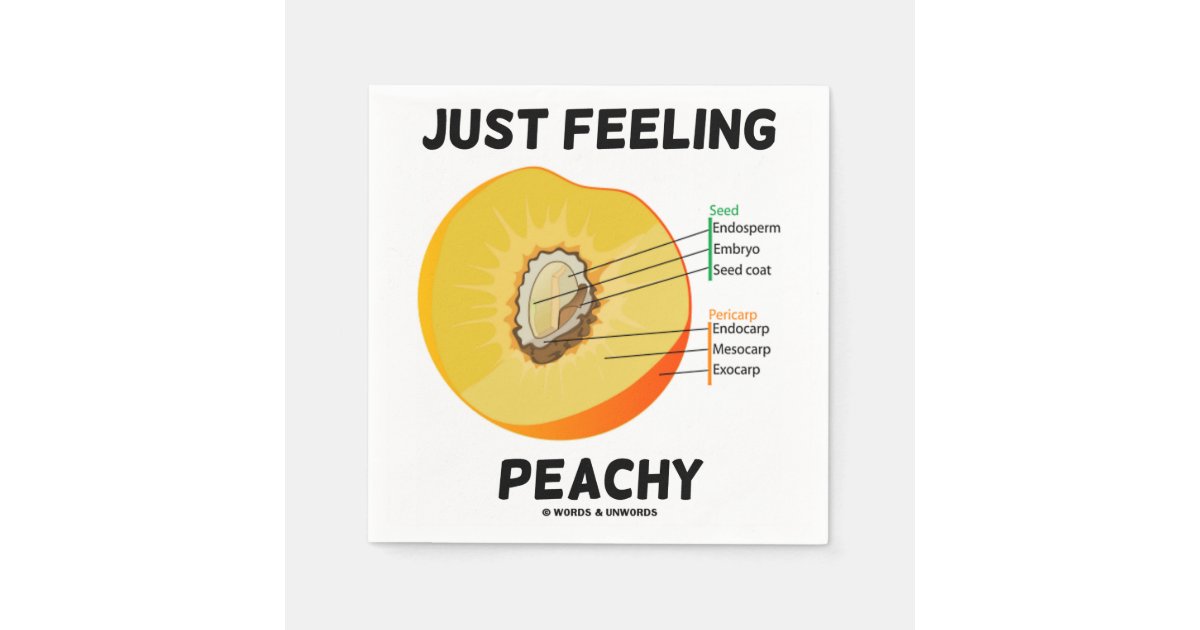 Just Feeling Peachy (Peach Anatomy Humour) Napkin | Zazzle