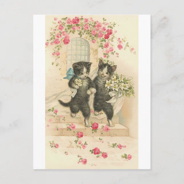 Just Married Kitty Cats Postcard | Zazzle