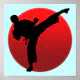 KARATE keri Poster | Zazzle