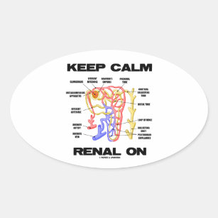 Kidney Stickers & Labels | Zazzle UK
