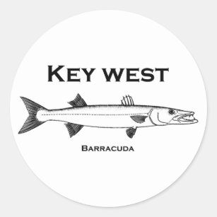 Barracuda Stickers & Labels | Zazzle UK