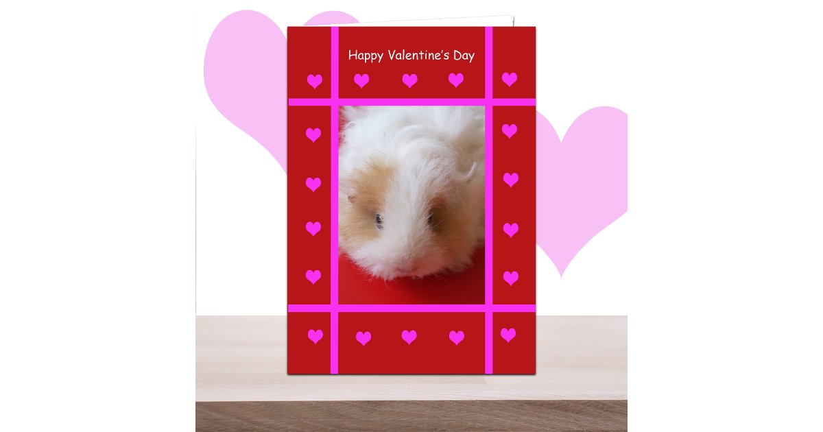 Kid Guinea Pig Valentine Card | Zazzle
