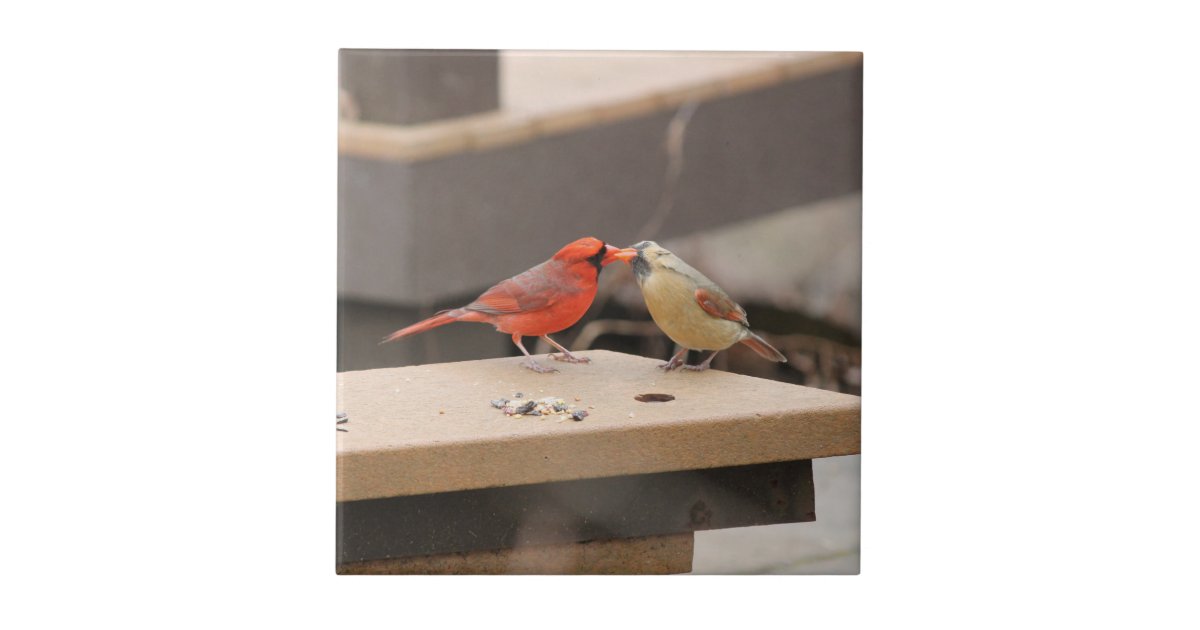 Kissing Cardinals Tile | Zazzle
