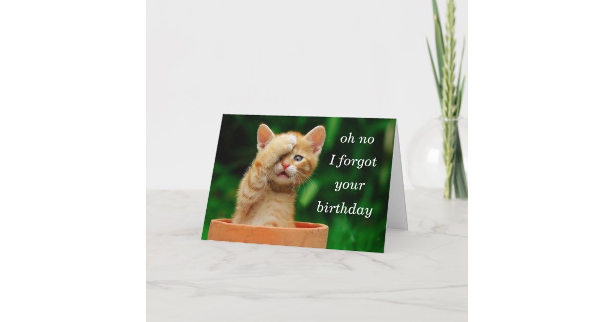 kitten forgot birthday card | Zazzle