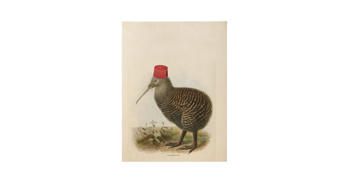 Kiwi Bird Wearing Fez Absurd Vintage Wood Poster | Zazzle
