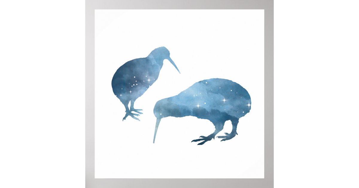 kiwi birds poster | Zazzle