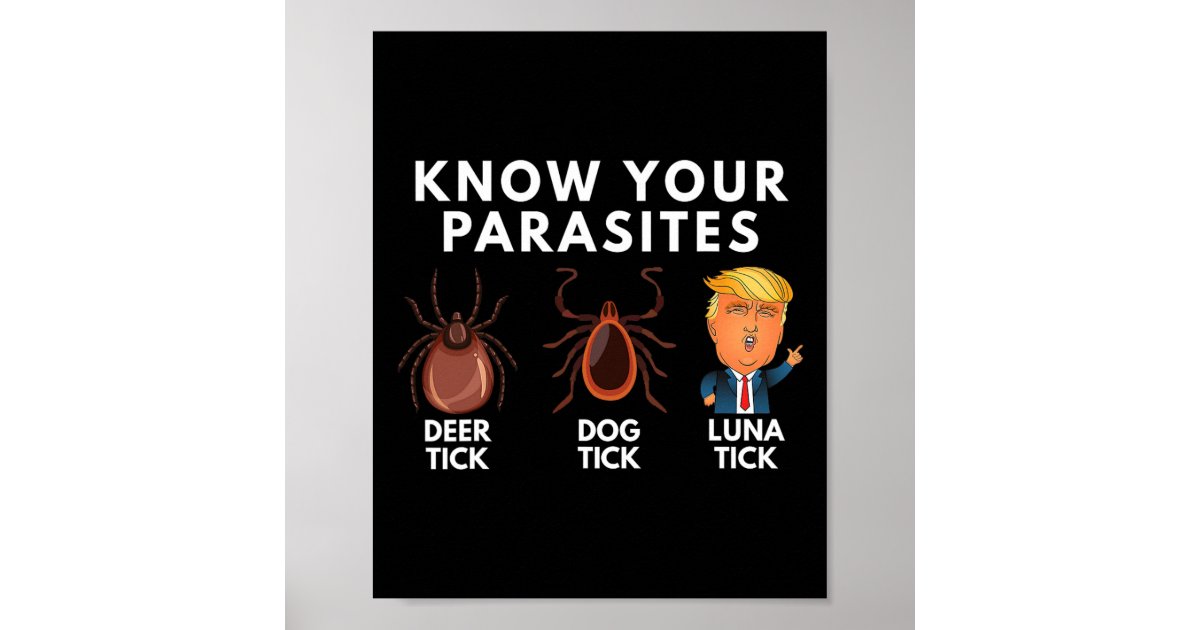 Know Your Parasites Deer Tick Dog Tick Luna Tick A Poster | Zazzle