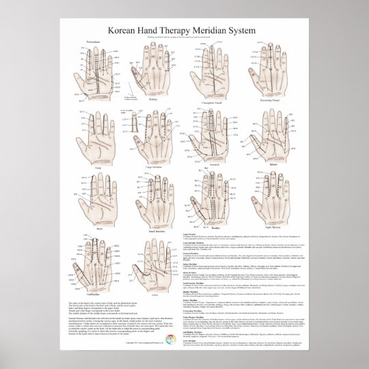 Korean Hand Acupuncture Meridian System Poster | Zazzle.co.uk