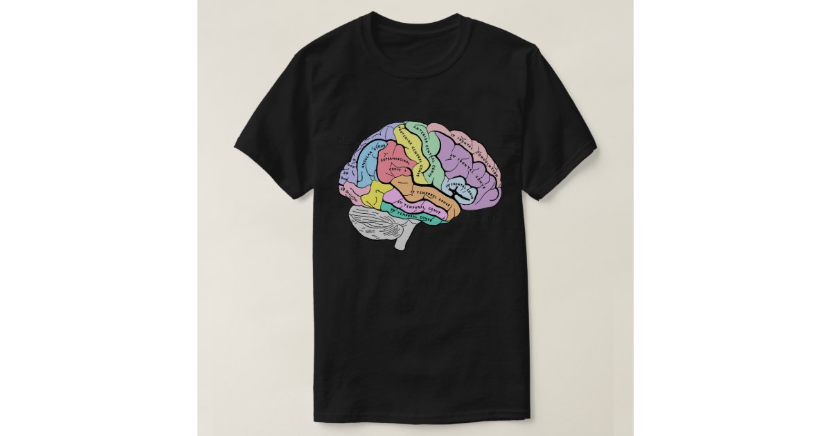 Labelled pastel brain anatomy sketch T-Shirt | Zazzle
