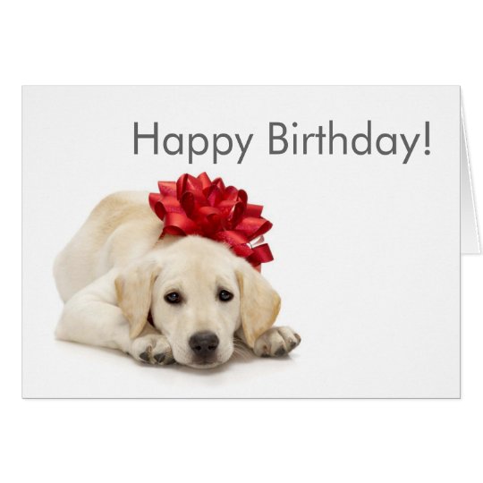 Labrador Retriever Happy Birthday Card | Zazzle.co.uk