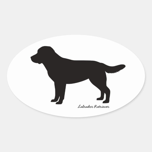 Labrador Stickers & Labels | Zazzle UK