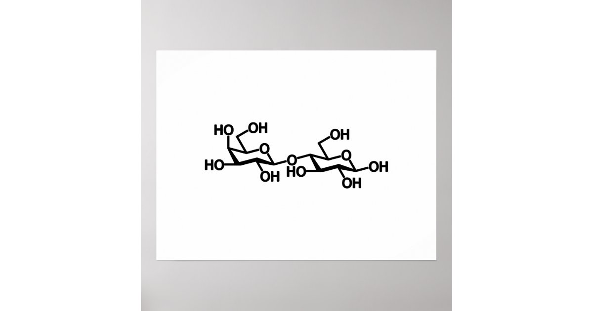Lactose Milk Structure Poster | Zazzle