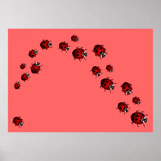 Ladybug Print Ladybird Art Large Small Poster | Zazzle
