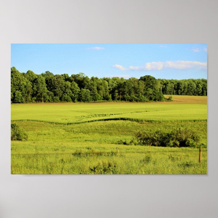 Landscape Photo Poster | Zazzle.co.uk