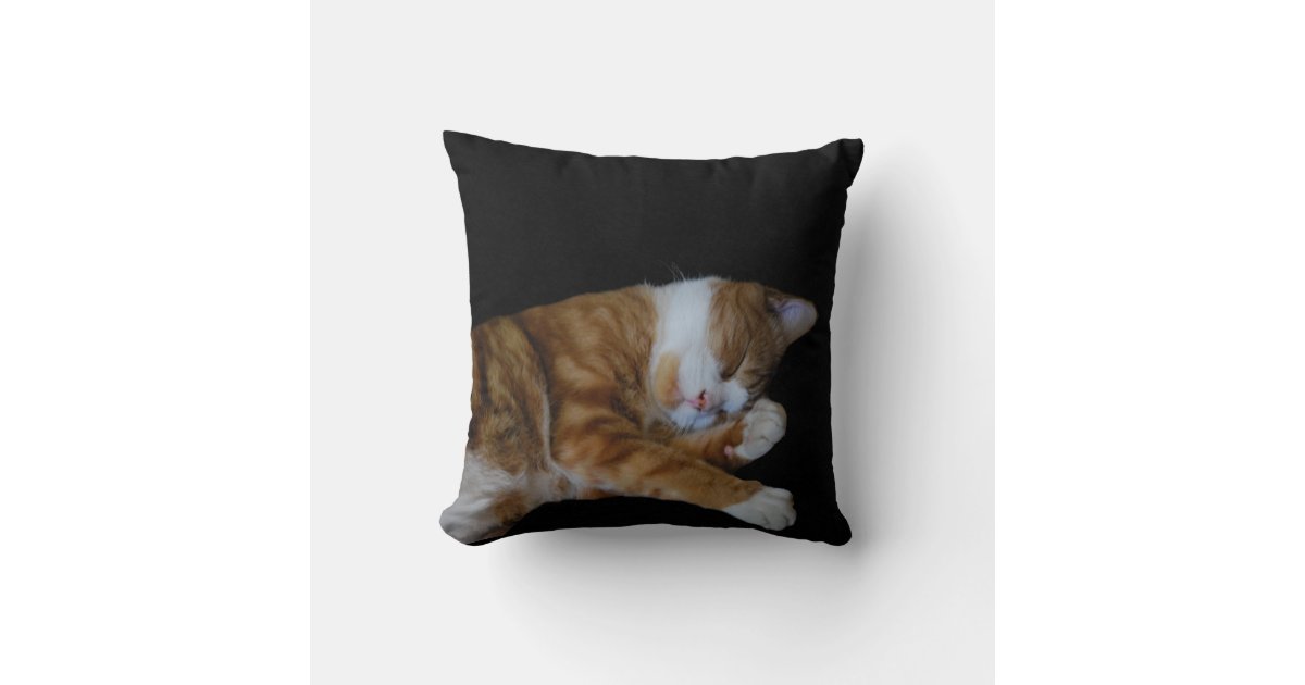 Lazy Ginger cat Cushion | Zazzle
