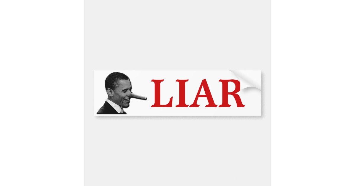 LIAR BUMPER STICKER | Zazzle