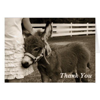 Donkey Note Cards | Zazzle.co.uk