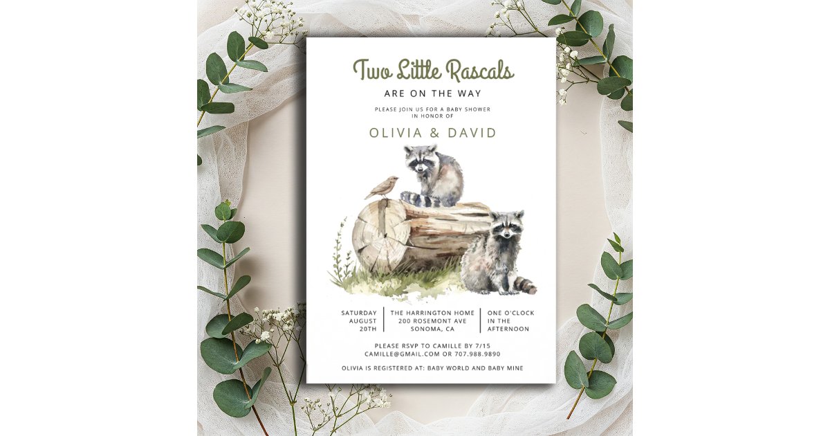 Little Rascals Raccoons Twins Baby Shower Invitation | Zazzle