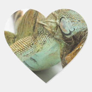 53+ Reptile Heart Stickers | Zazzle