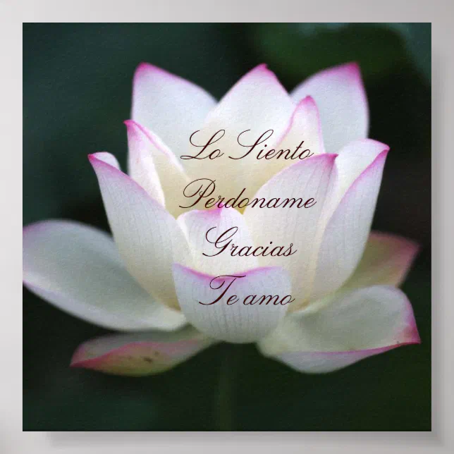 Lo Siento , Perdoname, Gracias , Te Amo Poster | Zazzle