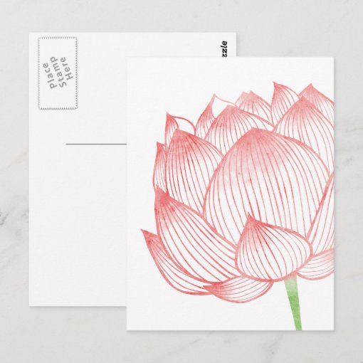 Lotus Art Postcard | Zazzle