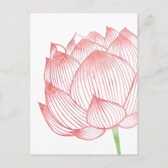 Lotus Art Postcard | Zazzle.co.uk